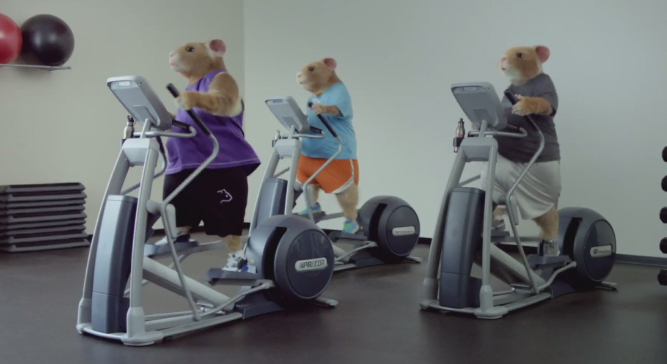 Kia promoting new Soul with exercising hamsters | AM-online